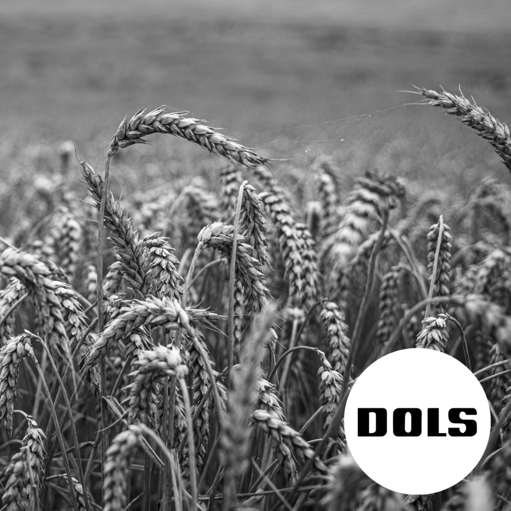 Nieuwe release: DOLS - Gein Luuj van Pen en Pepier - gelderland - 3voor12