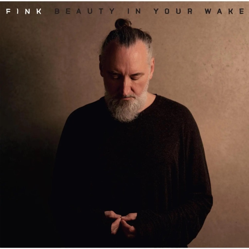 Fink - Beauty In Your Wake - 3voor12