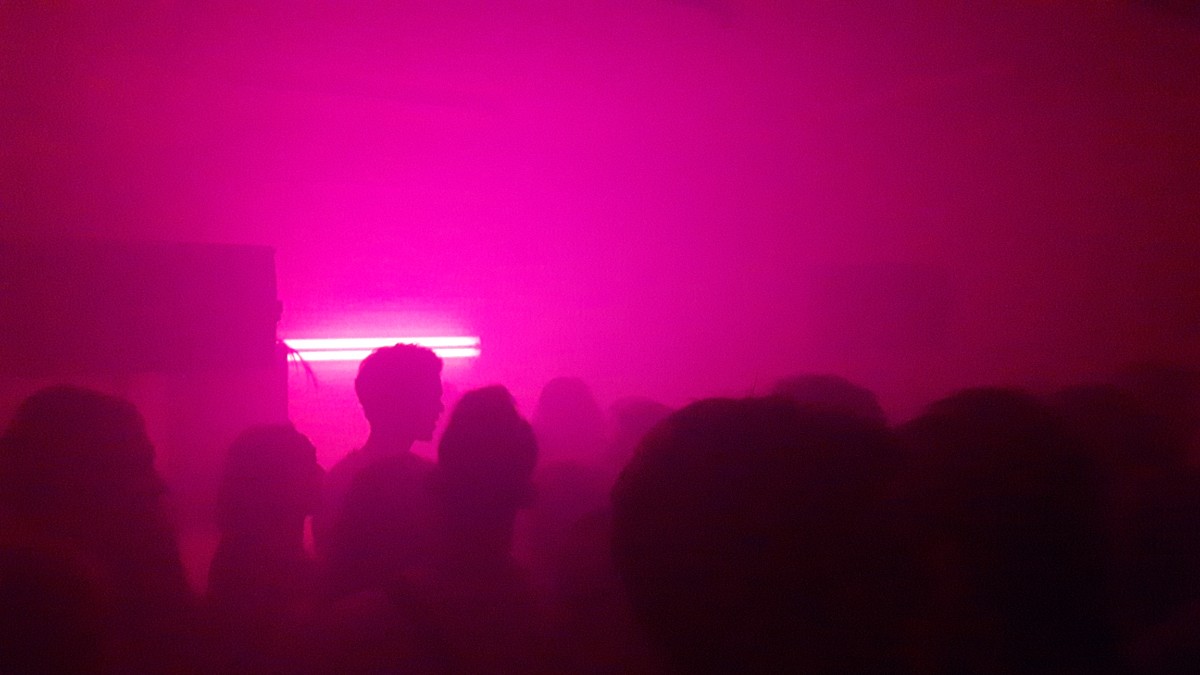 ADE19: Gecontroleerde gekte maakt ZeeZout perfect instapfeest - 3voor12