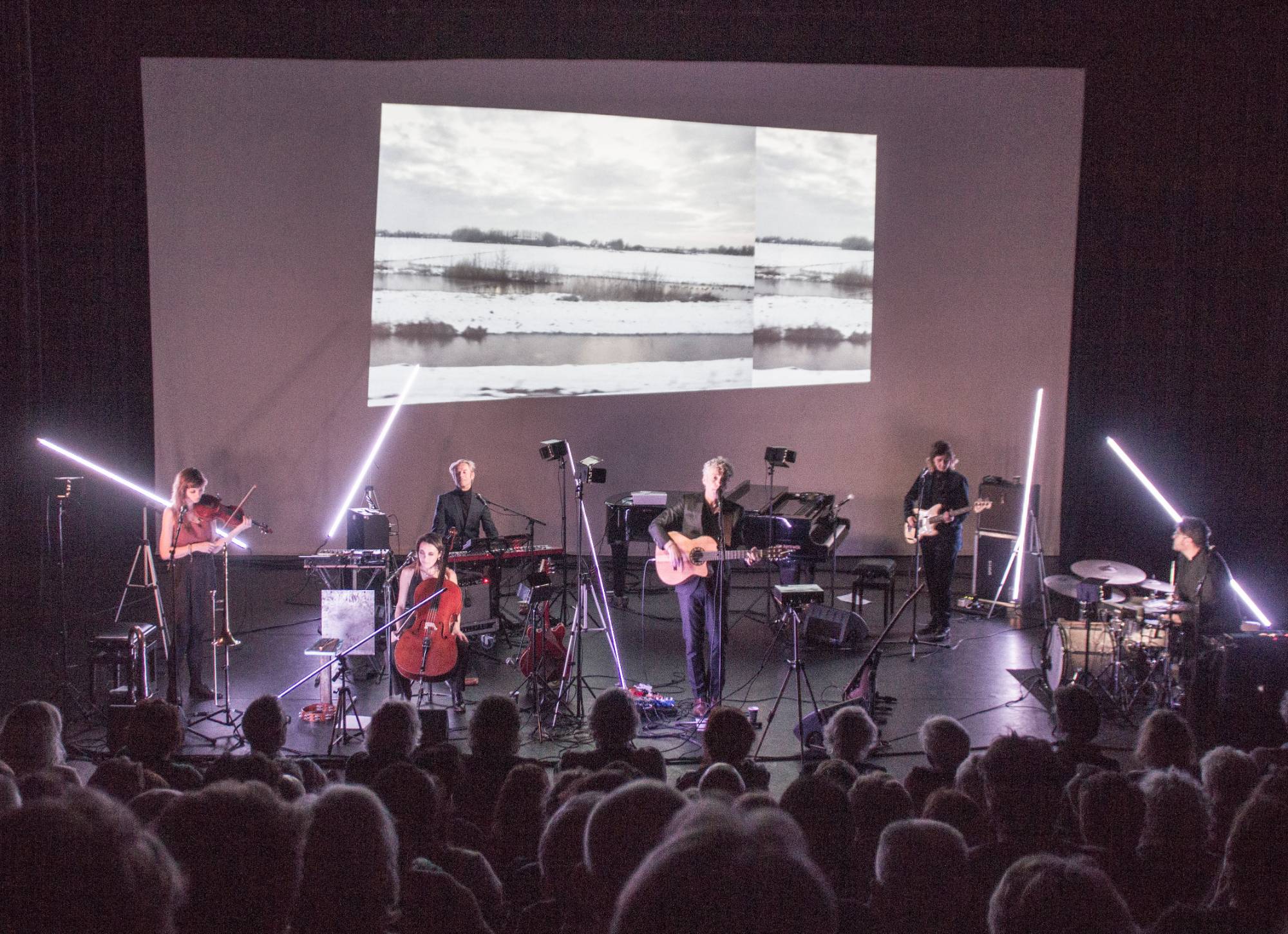 Spinvis brengt ode aan het toeval - artikelen - 3voor12